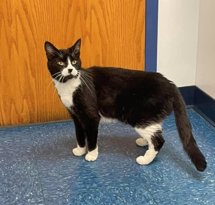 Lucy – Animal Rescue and Sanctuary